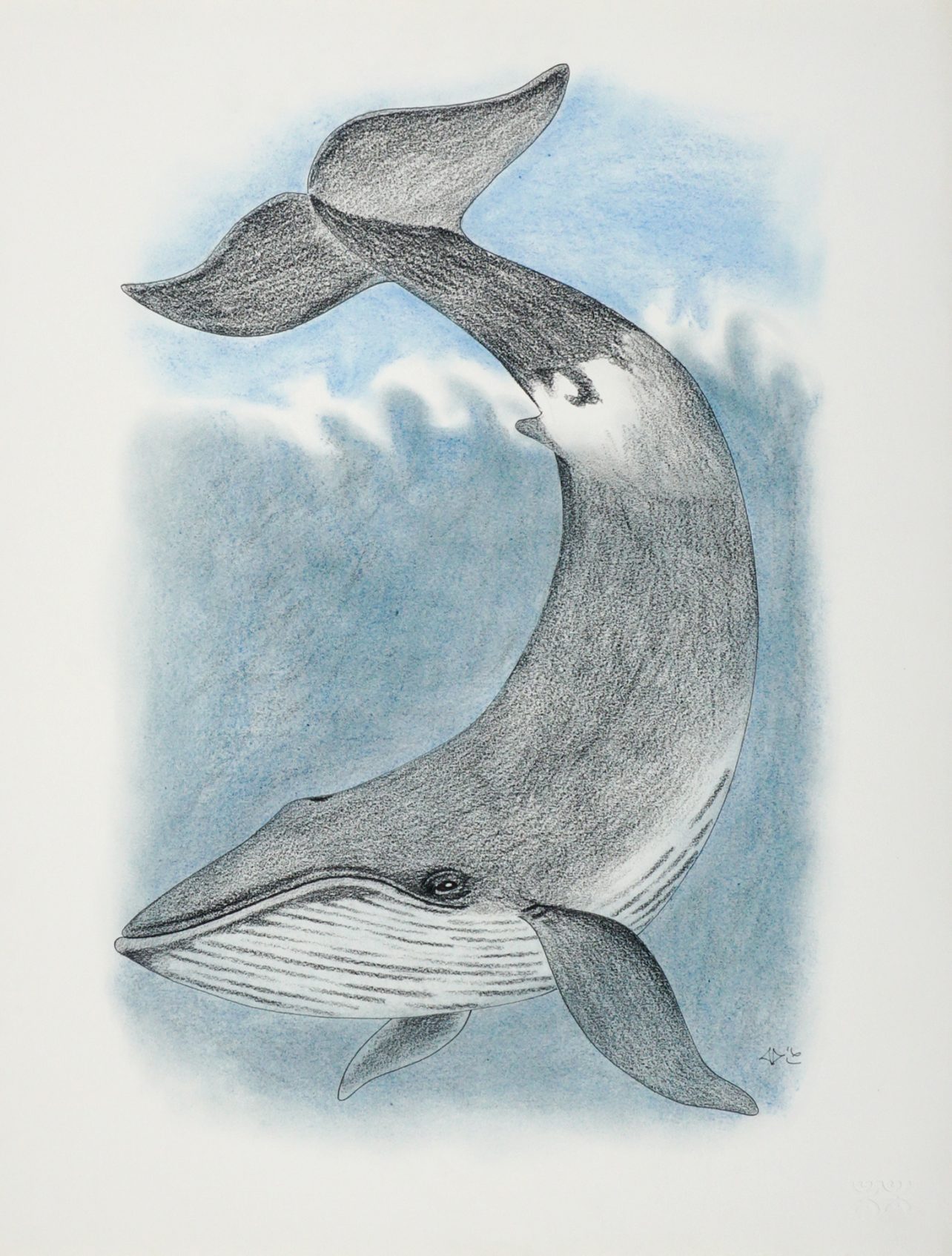 COMPOSITION (BOWHEAD WHALE DIVING) - Feheley Fine Arts - Inuit Art Gallery