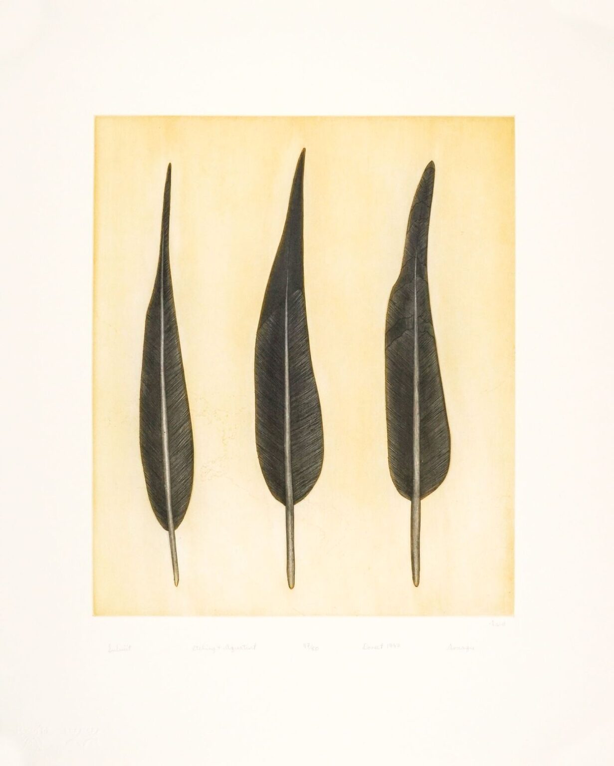 SULUIIT (FEATHERS) - Indigenous Art Gallery Specializing in Inuit Art