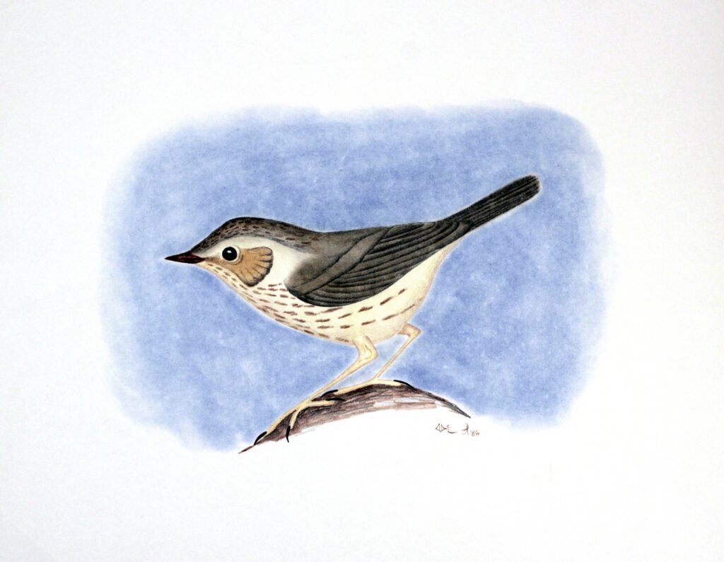 BIRD - Feheley Fine Arts - Inuit Art Gallery